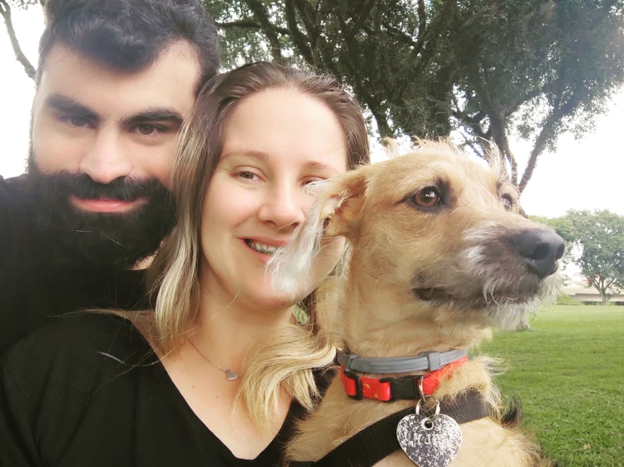 Shopping de Curitiba recebe encontro de adoção de cães neste sábado