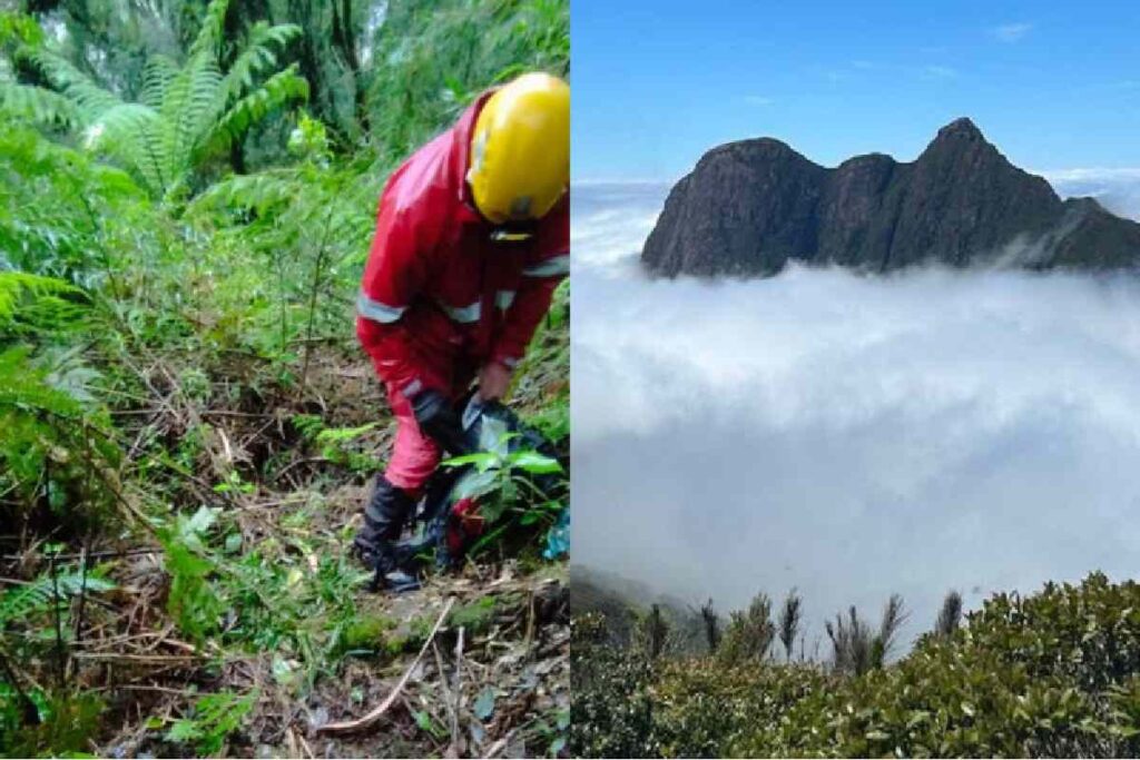 Jovens desaparecidos na Serra do Mar são encontrados
