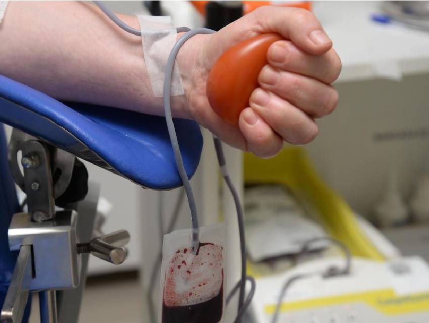 Dia Mundial do Doador de Sangue: cidadania e solidariedade