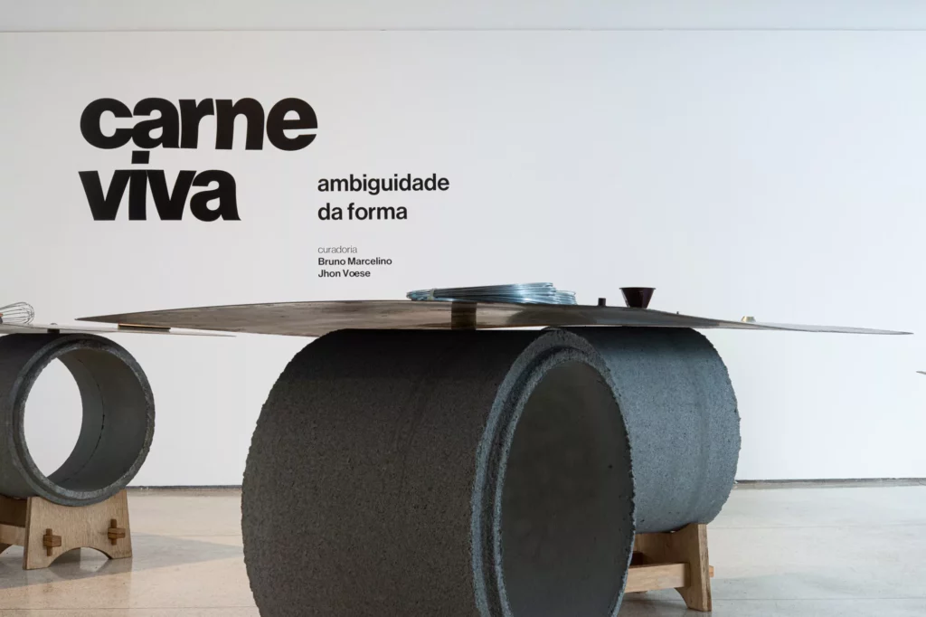 MON realiza ações sobre exposição 'Carne Viva – Ambiguidade da Forma'