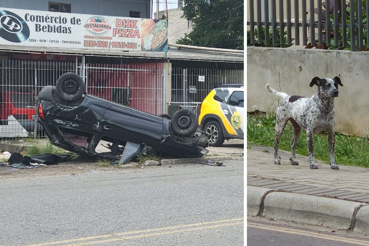 Mulher capota carro após desviar de cachorro na rua