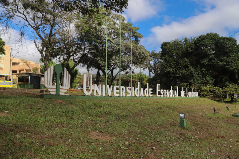 Cursos da UEL disponibilizam matrizes curriculares para volta às aulas ...