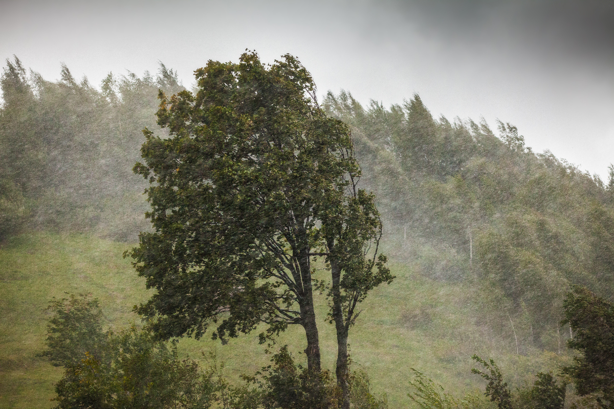 Alerta prevê chuva com ventos fortes em 340 cidades do Paraná
