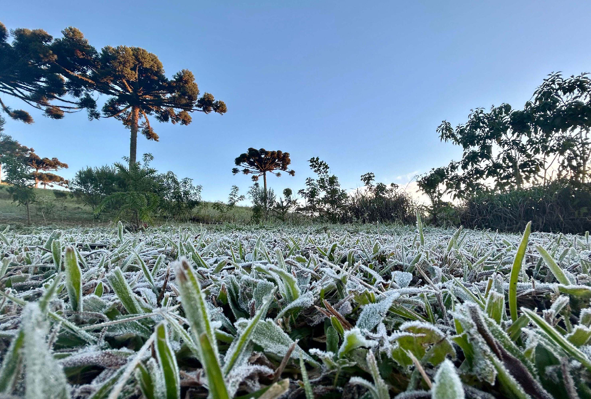 Frio chega com tudo no Paraná com sensação térmica de -13°C