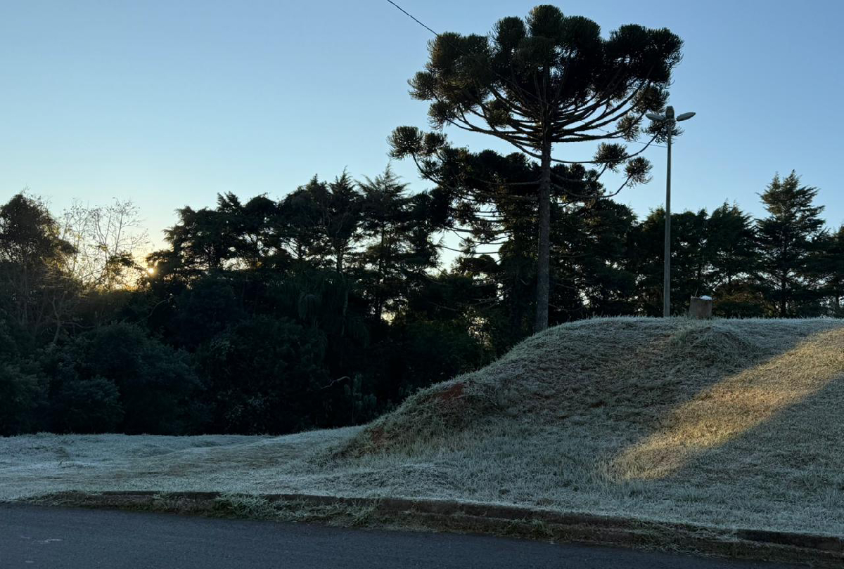 Onda de frio 'congela' Curitiba e provoca geada: veja imagens