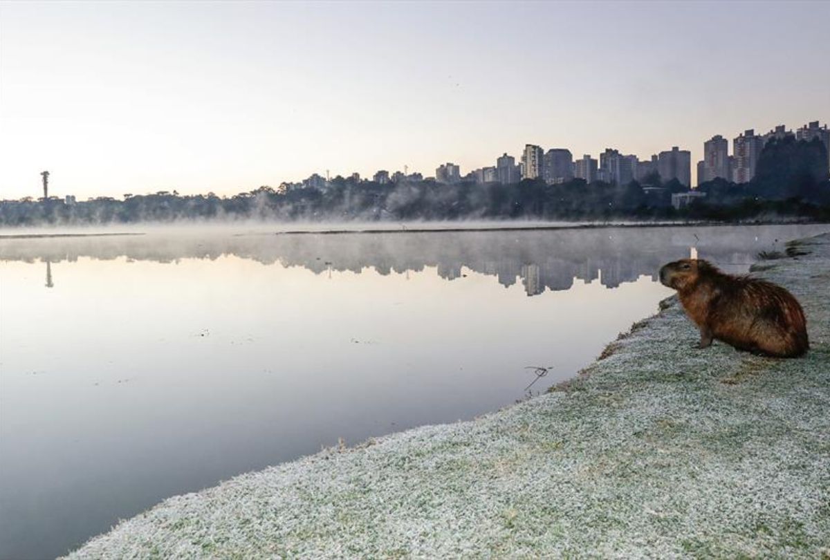 Nova onda de frio chega a Curitiba com 3°C no Dia dos Pais